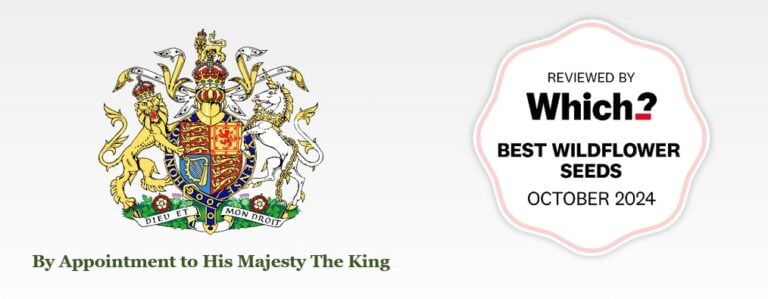 EM8 Meadow Mixture for Wetlands - Emorsgate Seeds